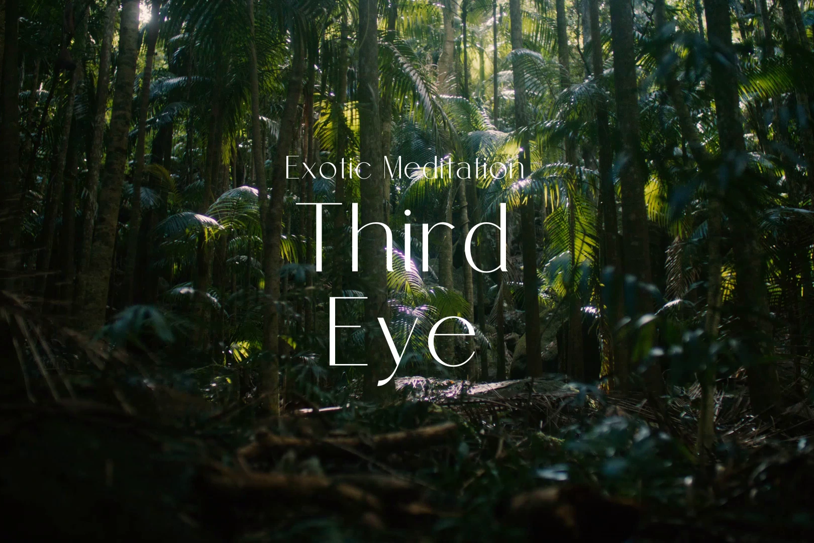 Third Eye / Exotic Meditation - HONEYDOG